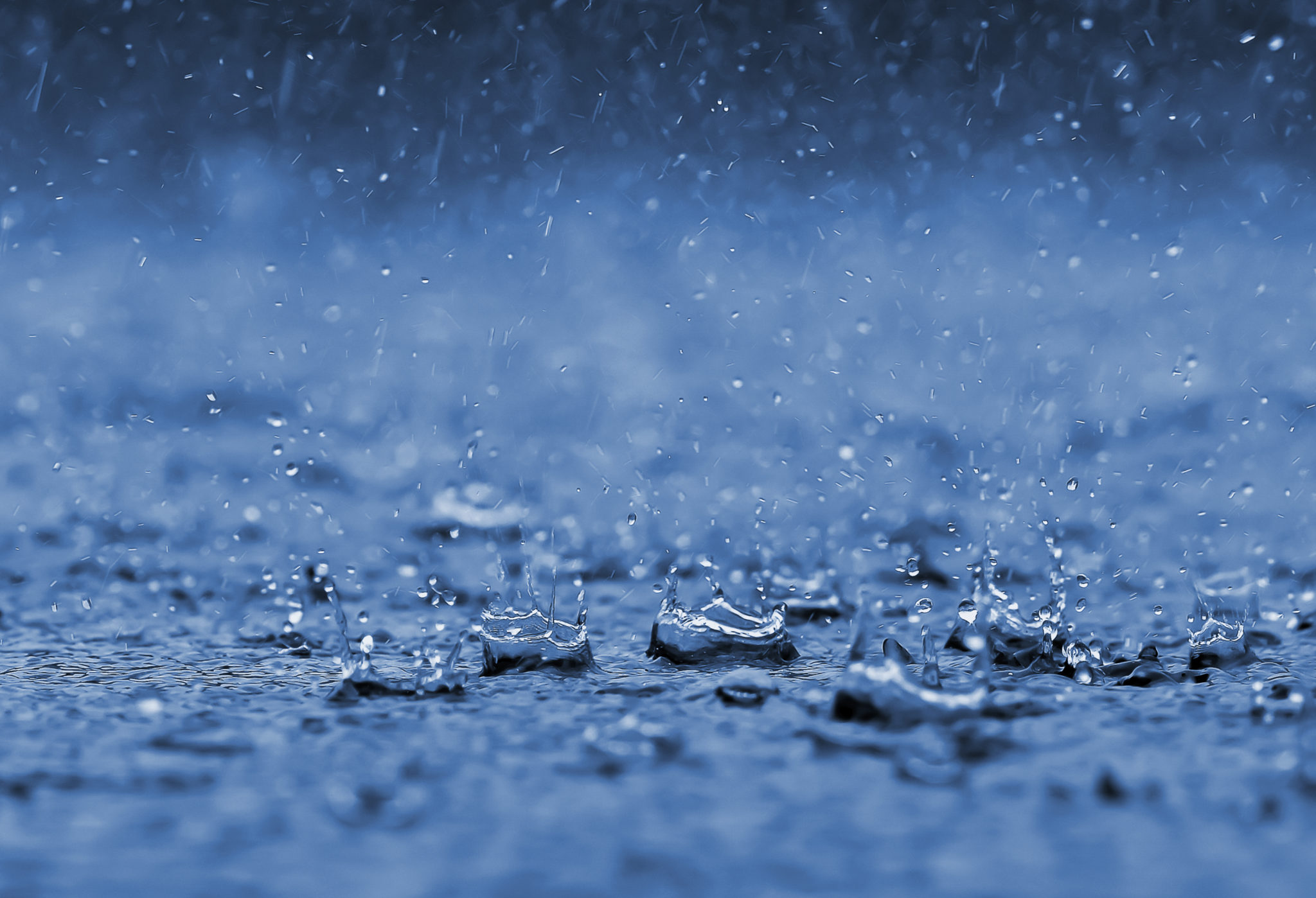 What is a Meet-Me-Room? A Space for Interconnection | Cologix